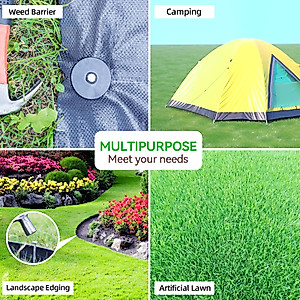 EISENSP 50 Pack Landscape Stakes with Gasket Caps - 6.3 Inch Heavy-Duty Galvanized Steel Garden Landscape Fabric Pins are Used to Fixing Weed Barrier, Artificial Lawn, Patio Rug, Etc