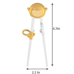 PandaEar 2 Pairs Training Chopsticks for Kids Toddler Baby Childrens| Practice Learning Chopsticks for Kid Beginners