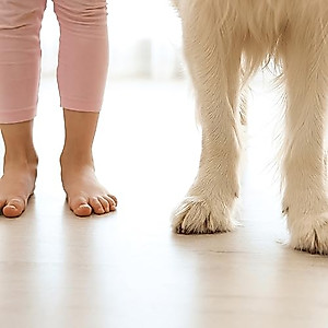 QuietWalk LV Luxury Vinyl, Laminate, or Wood Underlayment (Float, Glue, or Nail) w/Vapor Barrier- Sound Reduction, Compression Resistant, Moisture Protection 6'x60’ Roll (Covers 360 sf) QW360LV