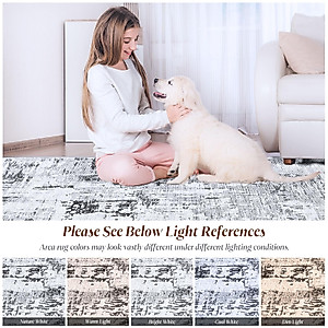 Vamcheer Washable Abstract Area Rug - Contemporary Style for Living Room, Bedroom, Kitchen - Machine Washable Rug for Living Room - Non-Shedding and Easy-Cleaning - Grey 5x7 ft