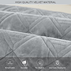 Deep Dream 1 Piece Couch Arm Covers, Backrest Covers, Sectional Couch Covers, Anti-Slip Armrest Covers for Dogs Cats Recliner Loveseat Sofa L Shaped, 28 x 28 Inch - Light Gray(1 Piece)