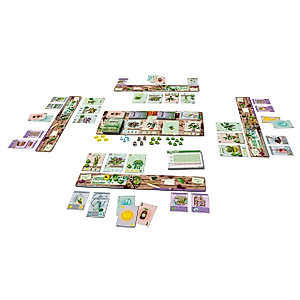 Planted Game by Phil Walker-Harding - Buffalo Games - Collect and nurture your houseplants.- Adult game night - Deck building game