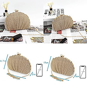 Felice Ann Women Mini Seashell Evening Bag Clutch Handbag Chain Strap Cross-body Shoulder Bag,Pleated Golden