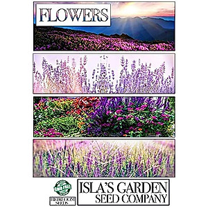 "Sensation Mix" Cosmos Flower Seeds for Planting, 100+ Seeds Per Packet, (Isla's Garden Seeds), Non GMO & Heirloom Seeds, Scientific Name: Cosmos bipinnatus, Great Home Flower Garden Gift