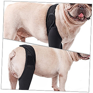 Balacoo Leg Sleeves Puppy Knee Brace Dog Leg Support Paw Balm Dogs Lick Safe Dog Braces for Dogs Knee Support Dog Recovery Sleeve Dog Leg Sleeve Dog Care Pet Mesh Fabric Leg Brace