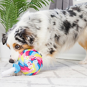 Huxley & Kent for Dogs | I'm Sweet Lollipop (Small) | Easter Spring Funny Dog Toy | Power Plush Dog Toy with Squeaker | Dog Gift | Fun, Durable, and Safe | H&K Squeaky Dog Toy