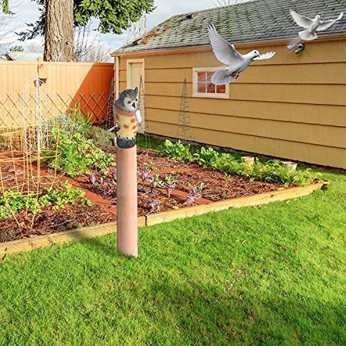 Large Scarecrow Owl Decoy Statue by briteNway – Realistic Fake Owl Outdoor Pest & Bird Deterrent, Hand-Painted Garden Protector, Scares Away Squirrels, Pigeons, Rabbits & More – 16,5” Hollow Design