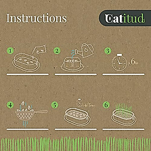 CATITUD | Cat Grass Growing Kit with 5 Packets HYDROPONIC Seeds | Cat Grass Kit Includes Pot with Non-Slip Base | Cat Grass for Indoor Cats with Planter, Best Gift for Cats