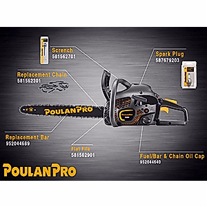 Poulan Pro PR4218, 18 in. 42cc 2-Cycle Gas Chainsaw, Case Included