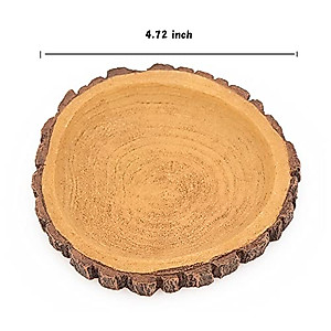 AQUA KT Reptile Corner Water Dish Food Feeding Bowl for Snake Lizard Bearded Dragon Turtle Feed and Terrarium Habitat Cage Decoration