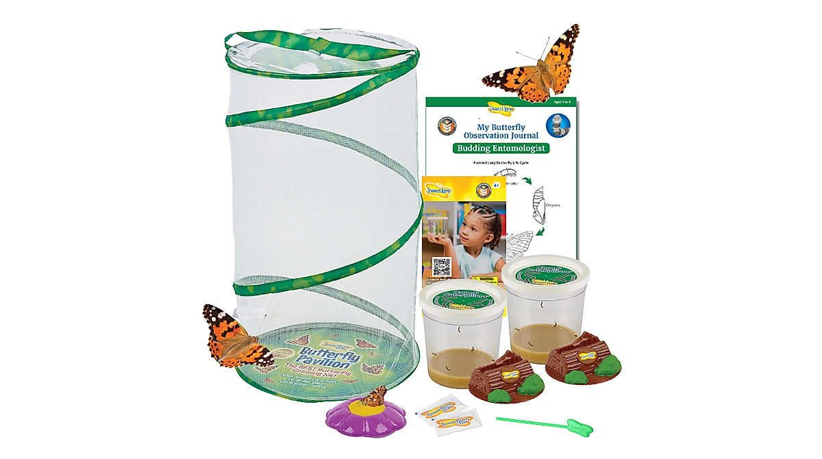 Insect Lore Butterfly Pavilion Kit for STEM & Life Science Education