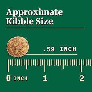 Nutro Max Adult Large Breed Dry Dog Food with Farm-Raised Chicken, 36 lb. Bag