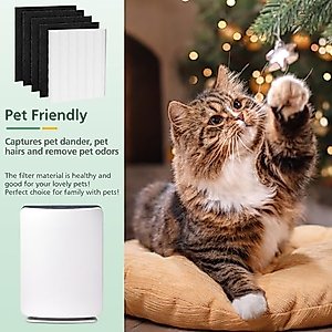 D480 Replacement Filter D4 Compatible with Winix D480 Air Purifier Part No. 1712-0100-00, Includes 1 H13 Grade True HEPA and 4 Activated Carbon Filters (1+4)