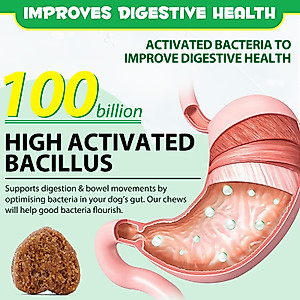 Probiotics for Dogs (Duck 30PCS), Probiotic Chews for Dogs with Digestive Enzymes, Dog Probiotics for Yeast, Itchy Skin, Anti Diarrhea, Gut Digestive Health, Allergy & Immune Support - for All Breeds