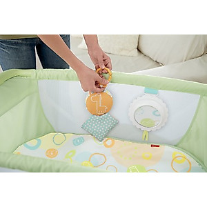 Fisher-Price Rock with Me Bassinet