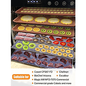 4 Silicone Dehydrator Mats with Edge + 6 Mesh Dehydrator Sheets Reusable Non-stick Fruit Dehydrator Mats Compatible with Cosori CP267-FD Silicone Tray Liner for Fruits Meat Vegetables(Pack of 10)