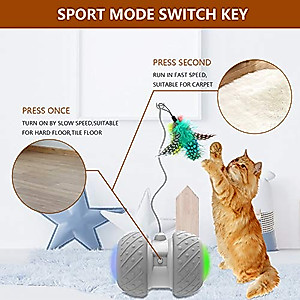 BENTOPAL Automatic Cat Toys Interactive Pet Exercise Electric Toys for Indoor Cats / Kitten with Feather (Auto Cat Toy)