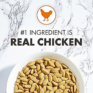 NUTRO WHOLESOME ESSENTIALS Adult Hairball Control Natural Dry Cat Food Farm-Raised Chicken & Brown Rice Recipe, 3 lb. Bag