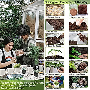Herb Garden Kit Indoor Herb Starter Kit - 10 Variety Herbs with Complete Herb Growing Kit - Kitchen Window Herb Garden - Unique Gardening Gifts for Women & Men