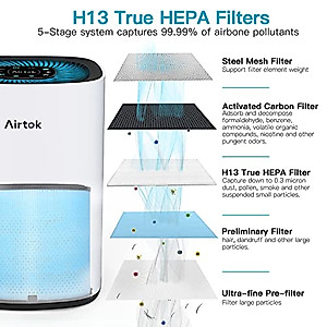 AIRTOK Air Purifier AP1001 Replacement Filters 2-Pack, 5-Layer Purification System, H13 True HEPA Filter, Activated Carbon Filter and More