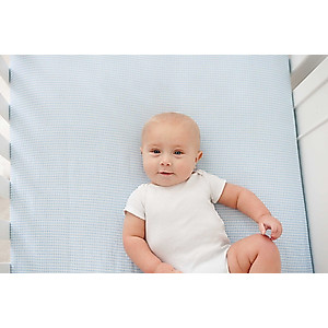 SheetWorld 100% Cotton Jersey Flat Crib Toddler Sheet 28 x 52, Blue Gingham, Made in USA