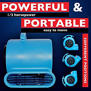 BLOTEK 1/2hp 2200CFM Speed Air Mover Carpet Dryer Floor Fan Cooling Fan - Industrial Heavy Duty Abanico de Piso Blower Fan with High Power for Commercial and Industrial Use