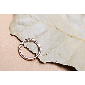 JINSAWW 16G Septum Hoop Segment Nose Rings Surgical Steel Helix Rook Conch Cartilage Nose Septum Seamless Hinged Clicker Ear Piercing Jewelry