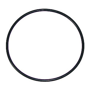 Waterway Hi-Flo Series Pump Trap Lid O-Ring 6" O-318 805-0436