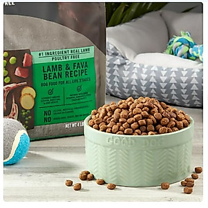 Pure Balance Lamb & Fava Bean Recipe Dry Dog Food, Grain-Free, 11 lbs