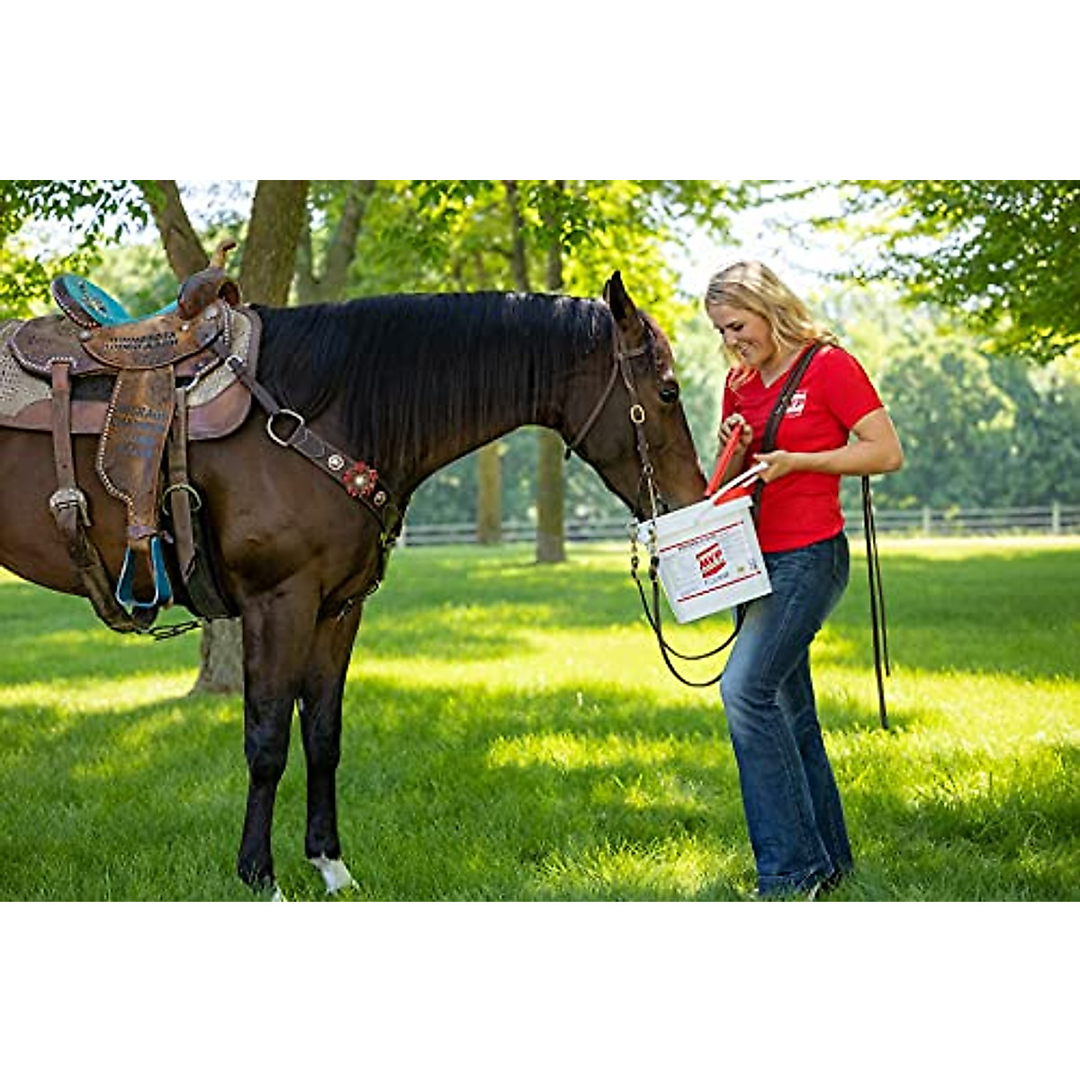 Exceed 6-Way (50lb) High Level Performance Horse Support