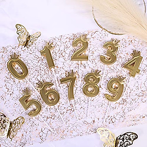 AIEX 3inch Birthday Number Candle, 3D Candle Cake Topper with Crown Cake Numeral Candles Number Candles for Birthday Anniversary Parties (Gold; 1)