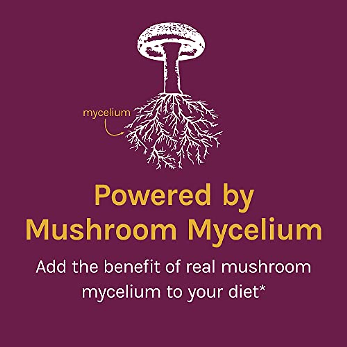 Host Defense, Turkey Tail Mushroom Powder, Supports Immune Health, Mushroom Supplement, Plain, 3.5 Ounce (Pack of 1)