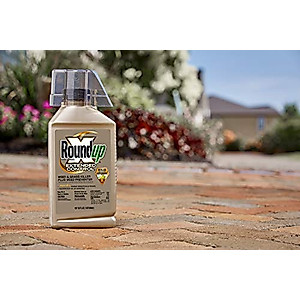 Roundup Concentrate Extended Control Weed & Grass Killer Plus Weed Preventer II