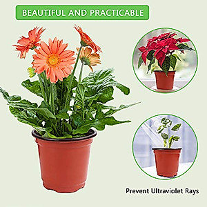 220 Pcs 4 Inch Plastic Plant Nursery Pots Seed Starting Pots Containers with 300 Labels