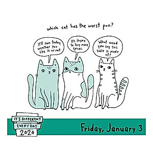 It's Different Every Day Page-A-Day Calendar 2020