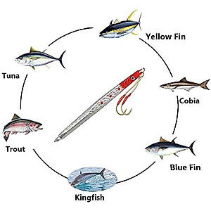 Speed Jigging Jigs 10oz 300g 6 Pieces with Lure Bag