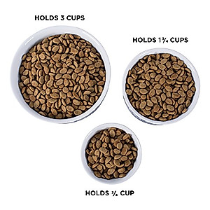 Bone Dry Lattice Pet Bowl, Removable Silicone Ring Creates Non-Slip Bottom for Secure Feeding & Less Mess, Microwave & Dishwasher Safe, Medium Set, 6x2", Gray, 2 Count