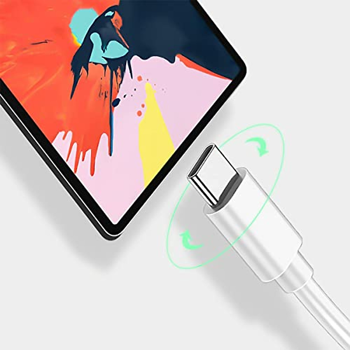 ROORUZ 6.6 Ft USB-A to USB-C Cable for iPad Pro, Mini & Air