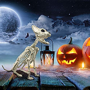 Supremask Skeleton Cat, Plastic Crouching and Sitting Cat Skeleton, Creepy Animal Bones for Halloween Decoration (Sitting)