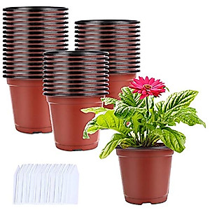 Augshy 250-Pack 4 Inch Plant Nursery Pots Seed Starting Pots Containers with 300 Labels for Indoor Outdoor Usage