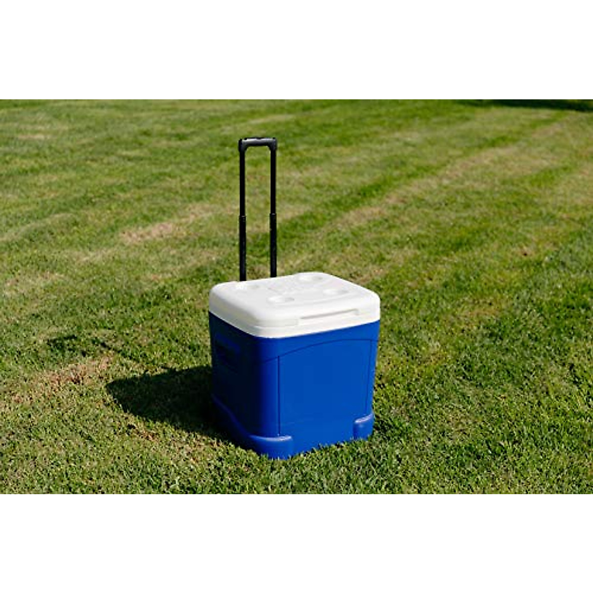 Igloo Ice Cube 60 Quart Roller Cooler , Ocean Blue
