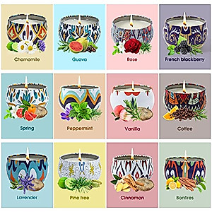 Scented Candles Gift Set, 12-Pack Home Scented Candles, Scented Candle Set Long Lasting Soy Wax 180 Hours Burn Time, Gifts for Women, Perfect for Teacher Women Mom Wife Girlfriend