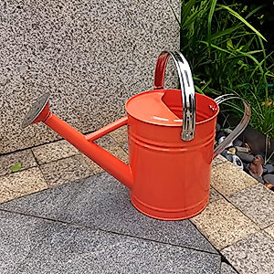 yourjoy Metal Watering Can, One Gallon Watering Cans Stainless Steel Handle for Outdoor Indoor Garden Plants Watering (Flat Handle Orange)