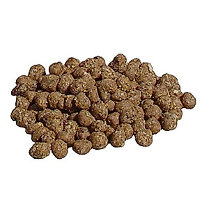 C&S Wild Bird Woodpecker Suet Nuggets Mega Box, 8 Pounds