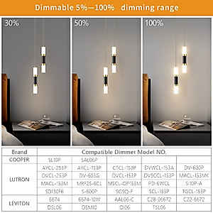 LIANGMH 2-Light Modern Kitchen Island Dimmable LED Modern Black Gold Mini Pendant Light, Bedroom Bedside Table Black Small Pendant Light