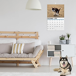 Gag Gifts - 2024 Wall Calendar, White Elephants Pooping Dogs, Calendar 2024 from Jan.2024 to Dec.2024, 12 Monthly Calendar Planner, Wall Calendar 2024, Funny Calendar for Family, Friends