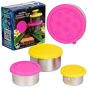 JaceBox Snack Containers for Kids - Stainless Steel Food Containers Leak proof Plastic FREE Silicone Lid Turtle Design