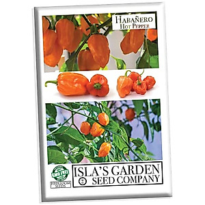 Habañero Seeds for Planting, 25+ Heirloom Seeds Per Packet, Spicy & Hot Pepper, (Isla's Garden Seeds), Non GMO Seeds, Botanical Name: Capsicum chinense, Great Home Garden Gift
