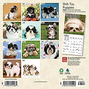 Shih Tzu Puppies | 2023 7 x 14 Inch Monthly Mini Wall Calendar | BrownTrout | Animal Small Dog Breed Puppy DogDays