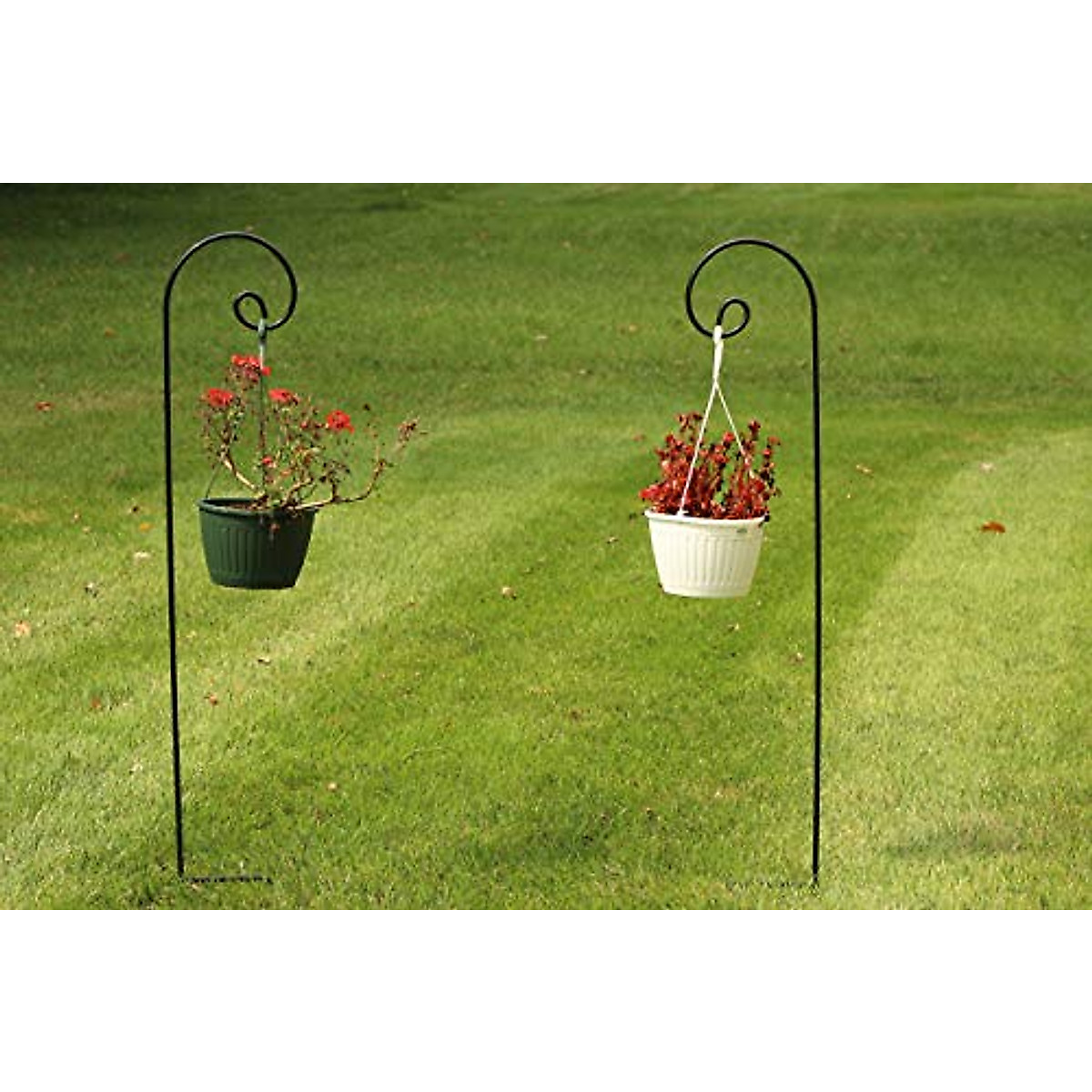 Ashman Shepherd Hook 65 Inch Curled (2 Pack), 1/2 Black Inch Diameter, Solid Metal for Hanging Plant Bird Feeders, Mason Jars, Flower Basket, Christmas Lights, Lanterns, Garden Stakes, and Weddings